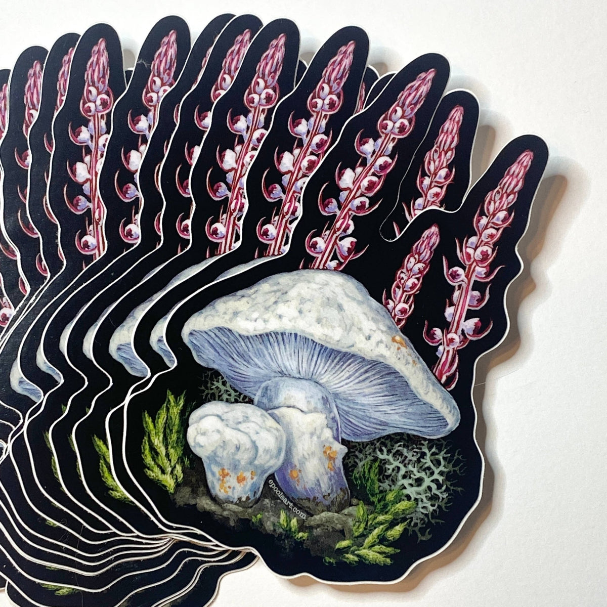 Matsutake Mushroom Vinyl Sticker - Art Department LLC